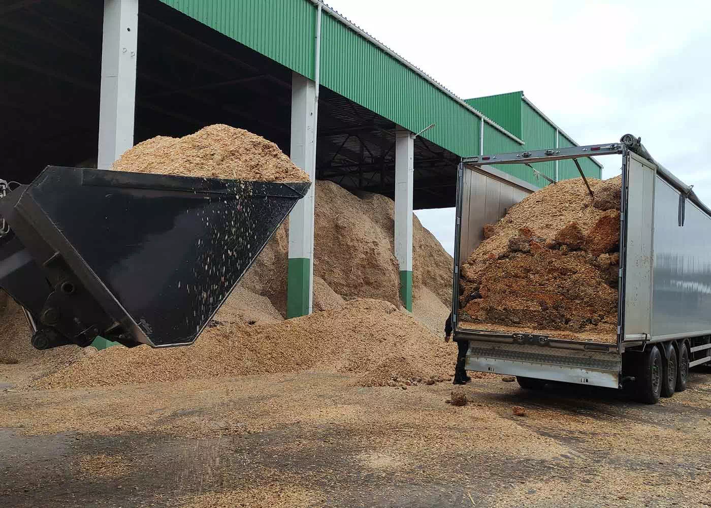 Vendita cippato di legno prezzi al quintale – Produttori fornitori