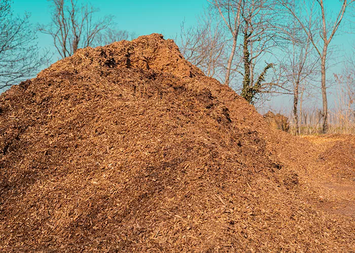 Vendita cippato di legno prezzi al quintale – Produttori fornitori